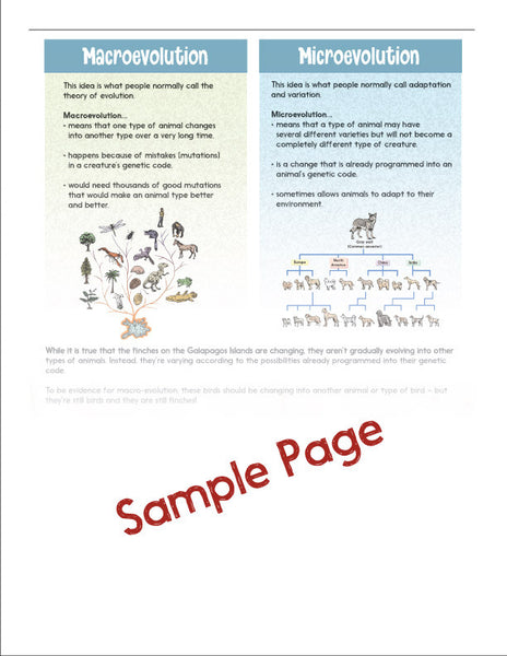 Study Guide Album 4 - Jonathan Park